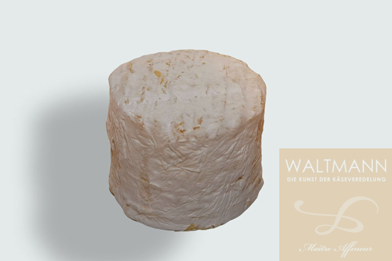 Waltmann e.K. - Jean de Brie
